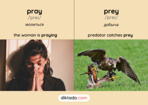 Pray — prey | Diktado's blog