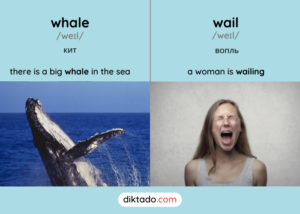 Whale — wail | Diktado's blog